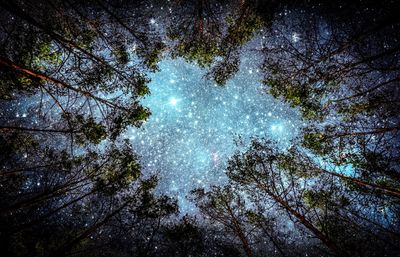 Anthracite | color meaning, hex code, palettes, images