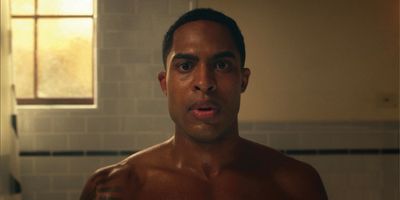 Canary | color meaning, hex code, palettes, images