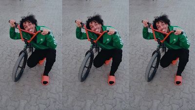 Chestnut | color meaning, hex code, palettes, images