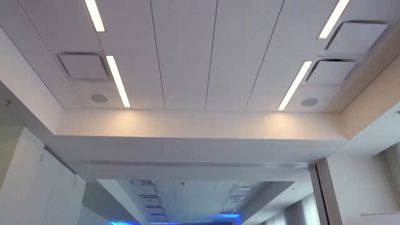 Ash grey | color meaning, hex code, palettes, images