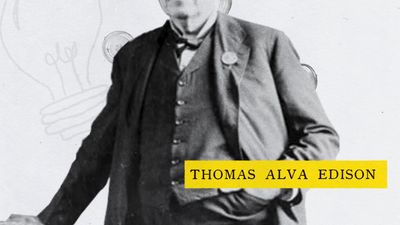 Amber | color meaning, hex code, palettes, images