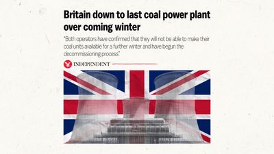 Cardinal red | color meaning, hex code, palettes, images