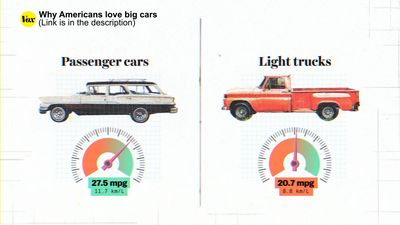 Coral | color meaning, hex code, palettes, images