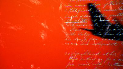 Coquelicot | color meaning, hex code, palettes, images