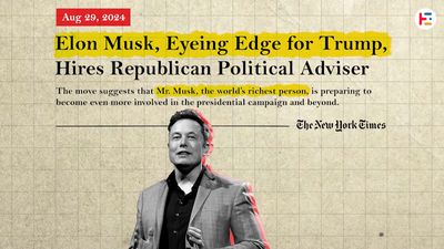 Amber | color meaning, hex code, palettes, images