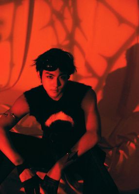 Coquelicot | color meaning, hex code, palettes, images