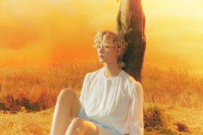 Dandelion | color meaning, hex code, palettes, images