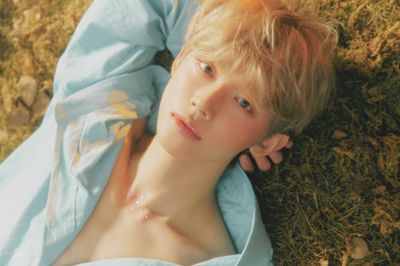 Onyx | color meaning, hex code, palettes, images