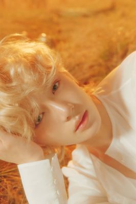 Cordovan | color meaning, hex code, palettes, images