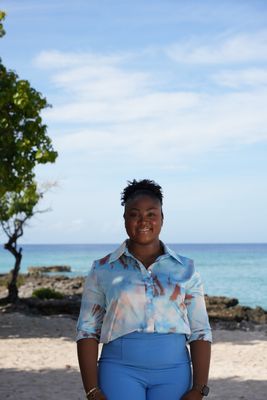 Azul rey | color meaning, hex code, palettes, images