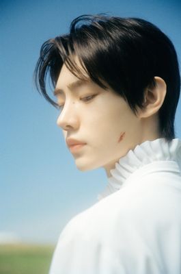 Papaya | color meaning, hex code, palettes, images