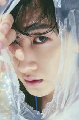 Oatmeal | color meaning, hex code, palettes, images