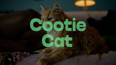 Hazel | color meaning, hex code, palettes, images