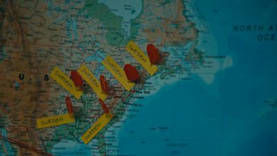 Midnight green | color meaning, hex code, palettes, images