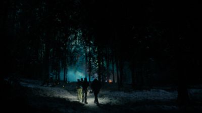 Midnight green | color meaning, hex code, palettes, images