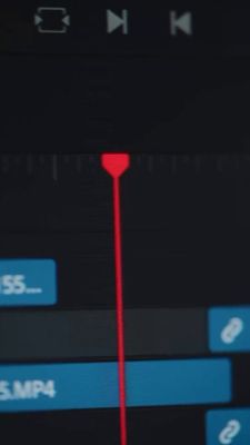 Cardinal | color meaning, hex code, palettes, images