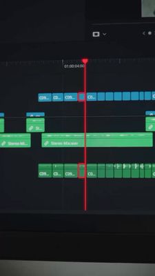 Cranberry | color meaning, hex code, palettes, images