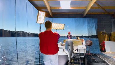 Cranberry | color meaning, hex code, palettes, images