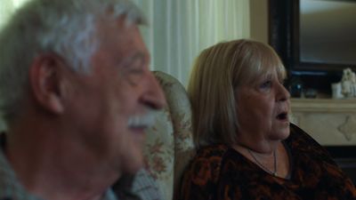 Agave | color meaning, hex code, palettes, images