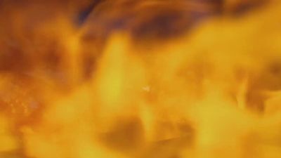 Goldenrod | color meaning, hex code, palettes, images