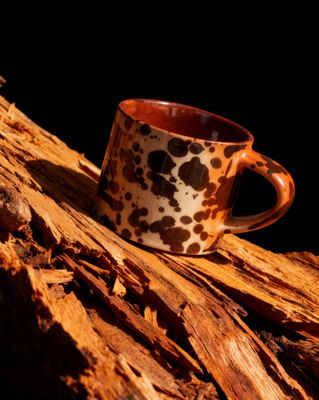 Cinnamon | color meaning, hex code, palettes, images