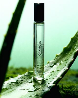 Agave | color meaning, hex code, palettes, images