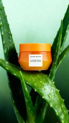 Matcha | color meaning, hex code, palettes, images