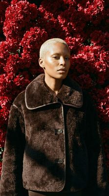 Maron | color meaning, hex code, palettes, images