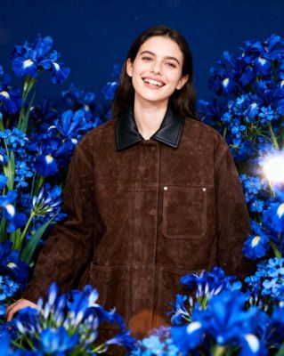 Blueberry | color meaning, hex code, palettes, images