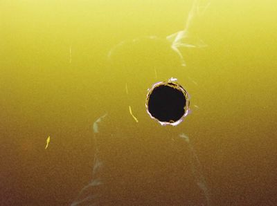 Olive | color meaning, hex code, palettes, images