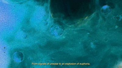 Ocean blue | color meaning, hex code, palettes, images