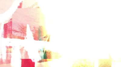 Amaranth | color meaning, hex code, palettes, images